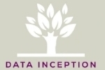 Data Inception – Professional Technology Assistance
